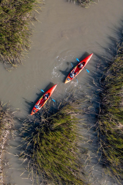 Charleston: Folly Beach Afternoon Kayak Dolphin Safari - The Full Itinerary Breakdown