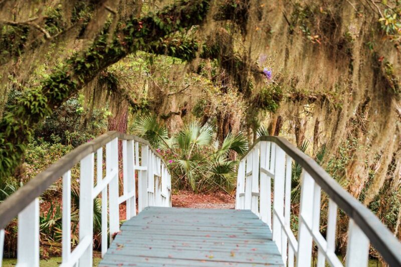 Charleston: Magnolia Plantation Entry & Tour with Transport - The Plantation: A Living History
