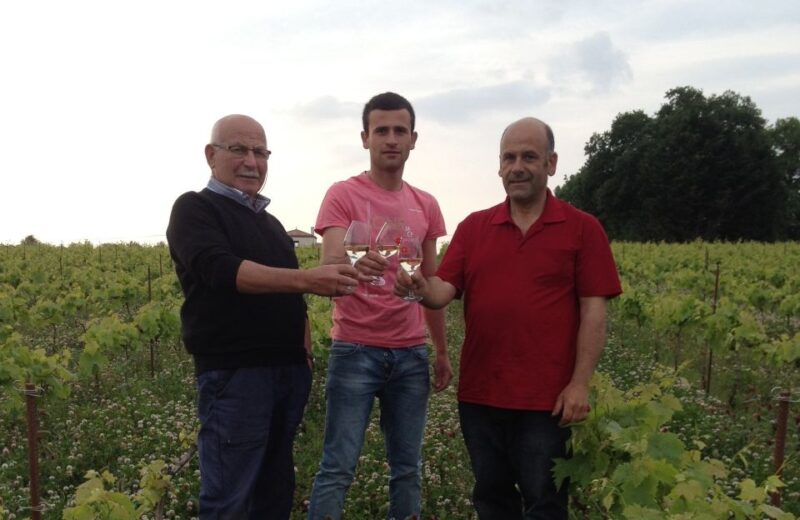 Château du Bois-Huaut: Cellar Tour and Wine Tasting Class - Value and Practicalities