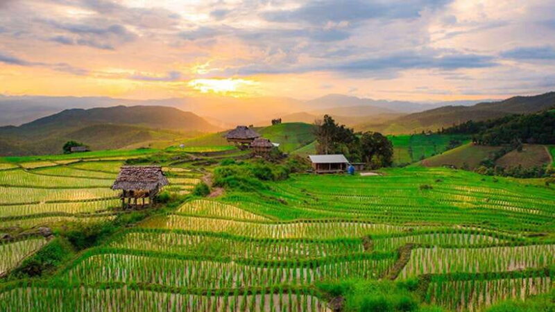 Chiang Mai: Doi Inthanon Trip with Pha Dok Siew Guided Trek - The Itinerary in Detail