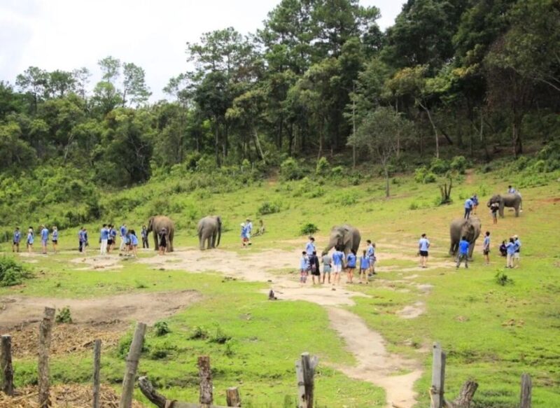 Chiang Mai Elephant Recovery Center, Doi Inthanon and Hiking - What to Expect: A Detailed Breakdown of Your Day