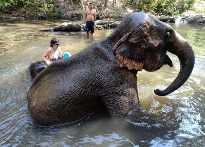 Chiang Mai : Ethical Elephant Sanctuary and ATV Adventure - Visualizing the Day