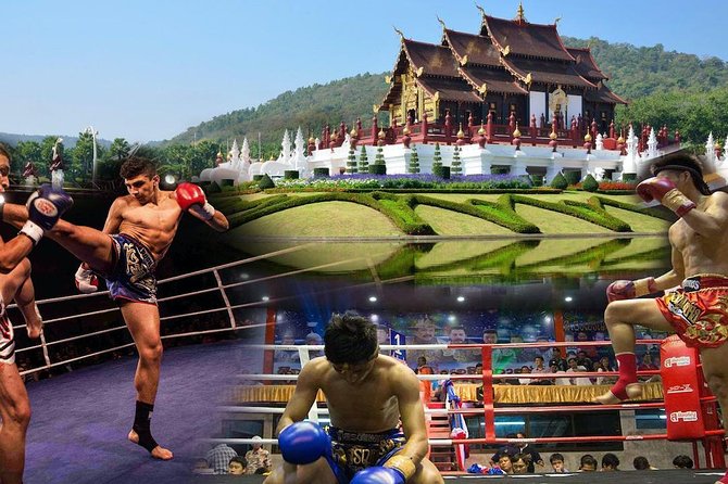 Chiang Mai Muay Thai Boxing Live at Thapae Stadium - The Itinerary: What You’ll Experience