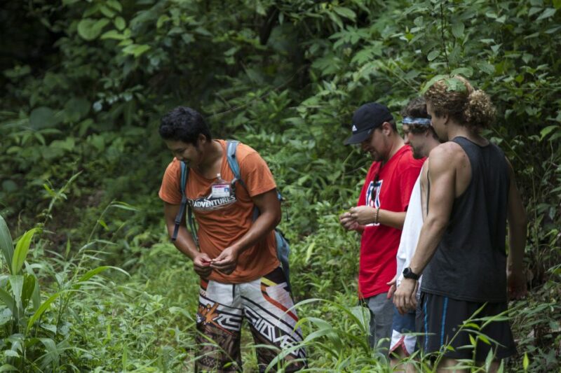 Chiang Mai: Whitewater Rafting and Waterfall Trekking Tour - The Value Proposition