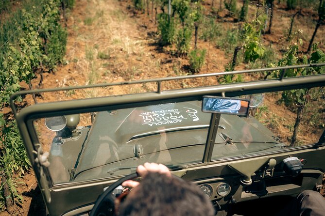 Chianti: Tuscan Vineyard Old Jeep Tour, Wine Tasting & Lunch - Tasting the Best of Poggio ai Laghi