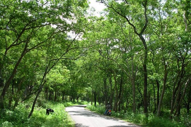 Chinnar Wild-life Visiting Tour (Eravikulam National Park) - Authenticity and Reviews: What Others Say