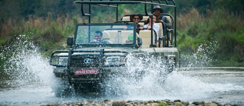 Chitwan Day Tour ( Canoeing+Jungle Walk+ Jeep Safari ) - The Itinerary in Detail: What You Can Expect