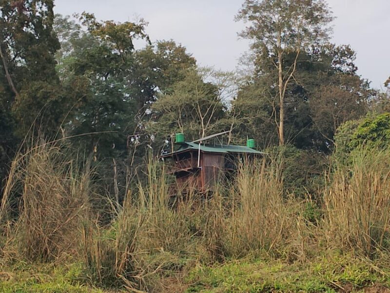 Chitwan: jungle One Night Towerstay in chitwan national park - How the Tour Works: Logistics and Practicalities