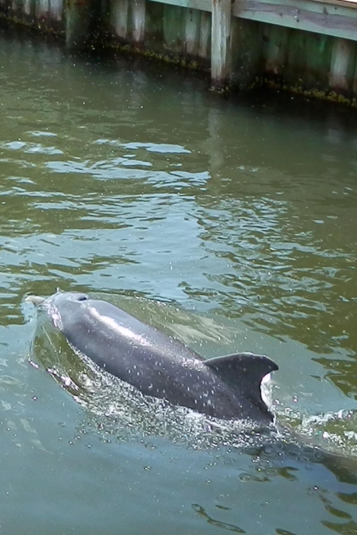 Cocoa Beach: Thousand Islands Banana River Boat Cruise - What to Expect on the Tour