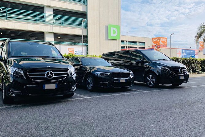 Copenhagen Port to Copenhagen hotel - Private Round-Trip Transfer - Real-World Experience and Feedback