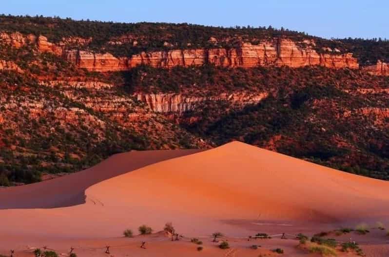 Coral Pink Sand Dunes: UTV Sunset Ride - Why Choose This Tour?