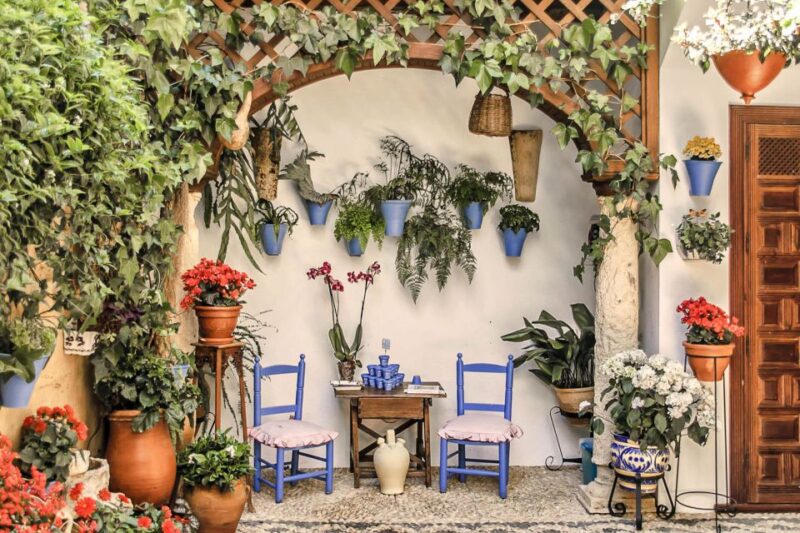 Córdoba: Guided Tour of the Patios - A Detailed Look at the Córdoba Patios Tour