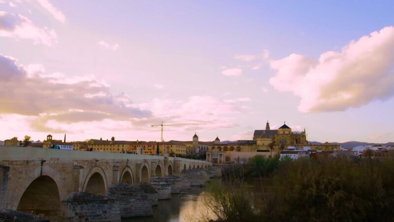 Cordoba: Historical Monuments of Cordoba City Walking Tour - Why This Tour Works Well