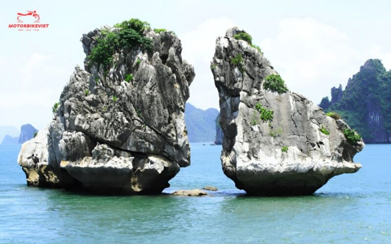 Crown Legend Cruise 3 days 2 nights - The Value of the Experience