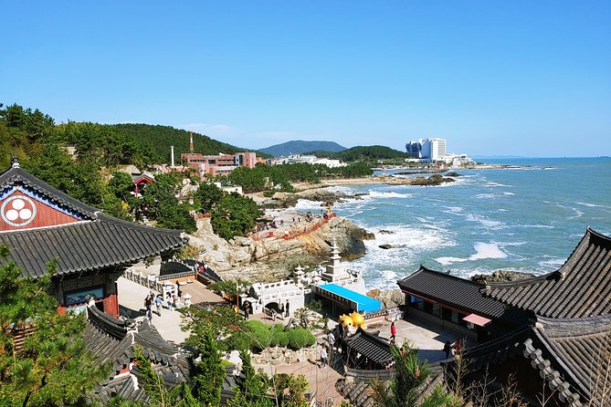 Cruise Layover Busan Highlight Tour with Sea temple and Gamcheon - Authentic Experiences and Local Flavors