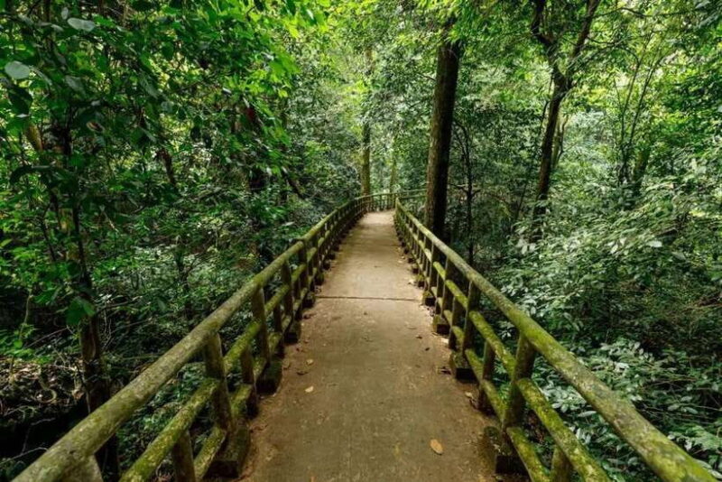 Cuc Phuong National Park Private Tour From Hanoi Old Quarter - What Travelers Say: Authentic Insights