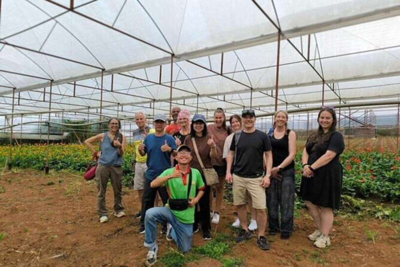 Dalat Countryside & Pongour Waterfall Tours (Small Group) - Daily Itinerary Breakdown