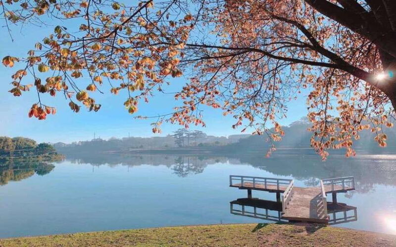 Dalat Highlights : Explore Top Attractions in the City - What You’ll See and Experience
