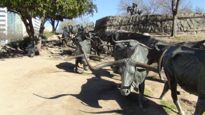 Dallas: Small-Group City Highlights Tour - The Transportation and Group Atmosphere