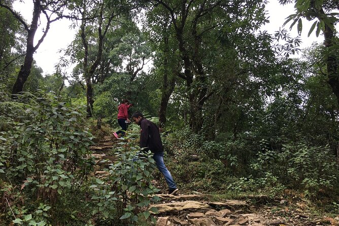 Day hiking to Dhampus - Astam Village - Why This Tour Works Well