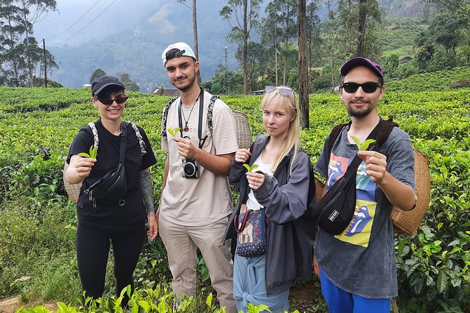 Day tour to Nuwareeliya (Little England) from Kandy - A Thorough Breakdown of the Itinerary