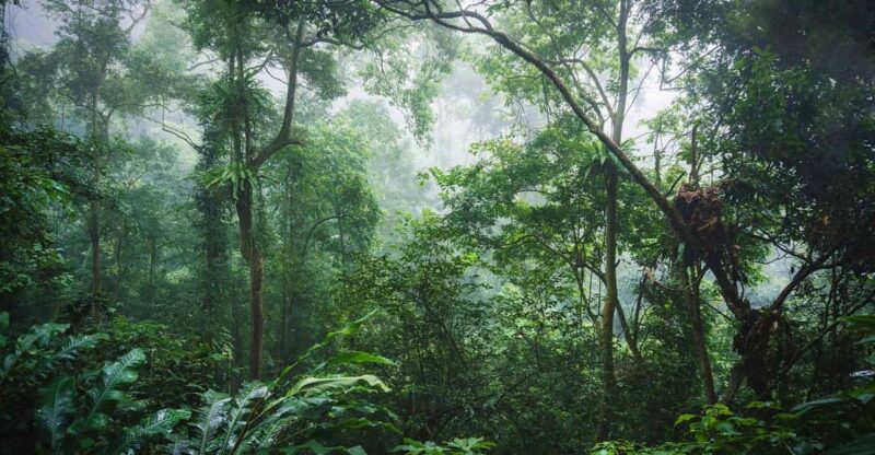 Day Trip for a Group to Cuc Phuong National Park - Who Will Love This Tour?