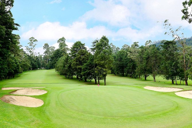Day Trip to Nuwara eliya from Kandy - What Youll See and Do