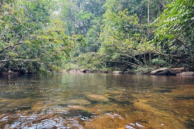 Dediyagala Village Tour(from Galle, Mirissa, Ahangama, Matara) - The Day in Detail
