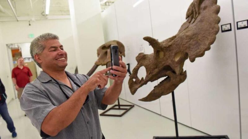 Denver: Museum of Nature and Science Entry Ticket - Who Is This Museum Best For?