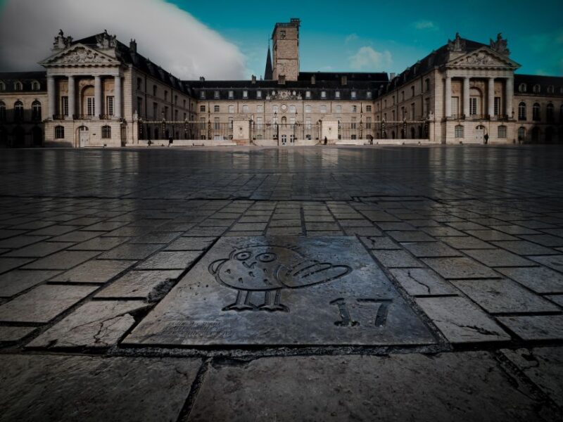 Dijon: Private Walking Tour  Discover History & Heritage - Exploring the "Parcours de la Chouette"