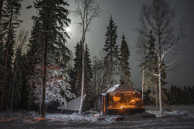 Dinner with Northern Light hunt in Rovaniemi - What Do Travelers Say?