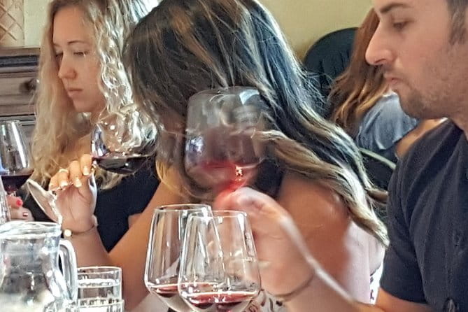 Discover Chianti Through its Wines - The Itinerary: What to Expect