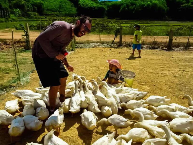 Discover Phong Nha's Countryside - 1 Day Cycling Trip - Detailed Itinerary Breakdown