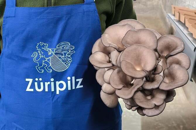 Discover the World of Mushrooms - Authentic Perspectives from Past Participants