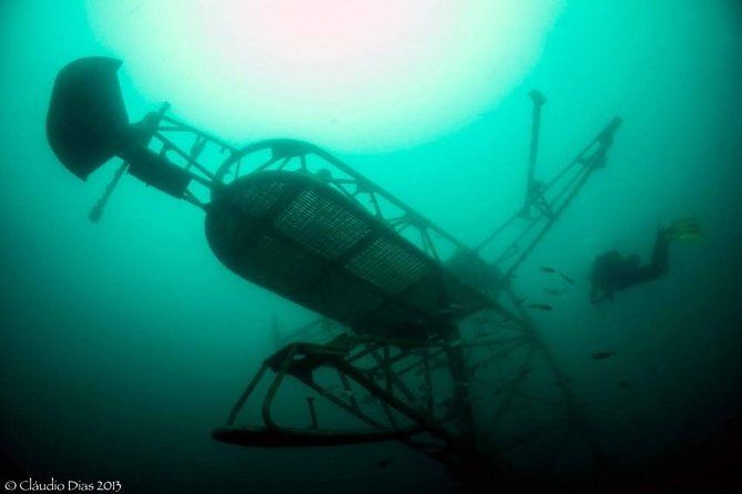Double Dive the Fantastic Ocean Revival Park - An In-Depth Look at the Ocean Revival Experience
