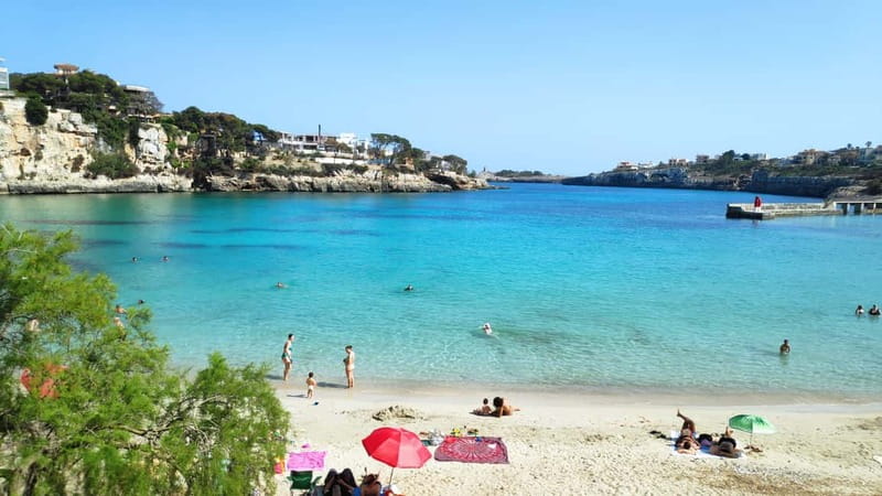 Drach Caves and Palma or Beach Retreat  Full-Day Tour - Transportation and Comfort