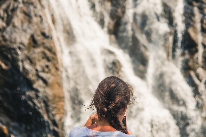 Dudhsagar waterfall wildlife & spice plantation Tour in Goa - Why This Tour Offers Value