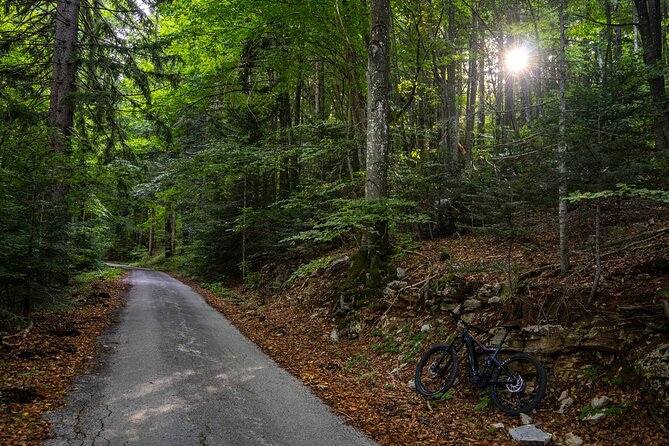 E-Bike tour Plitvice Big Waterfall Viewpoints & Tito's Villa - What’s Included & What’s Not