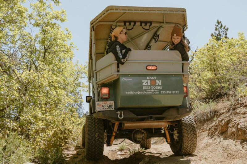 East Zion: 1-Hour East Rim Jeep Tour - Practical Details & Considerations