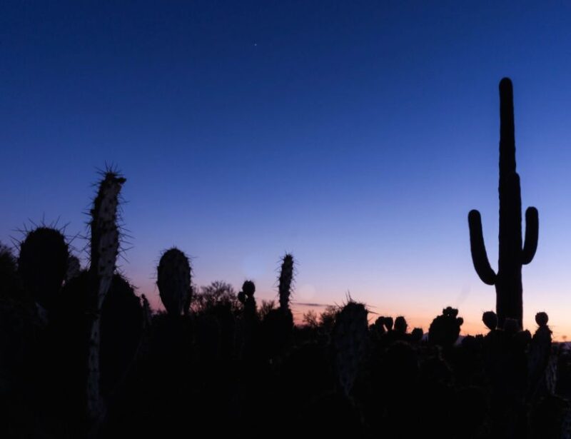 El Paso: Sun City Ghost Walking Tour - The Practical Side: Price, Timing, and Accessibility