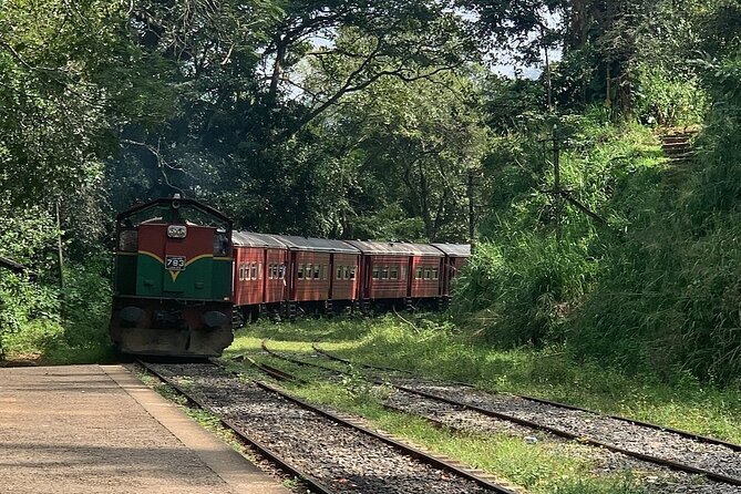 Ella Private Day Tour - Departing from Any Location in Sri Lanka - Who Will Love This Tour?