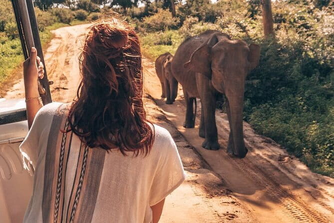 Ella to Mirissa Shuttle & Safari Drive - Detailed Breakdown of the Itinerary