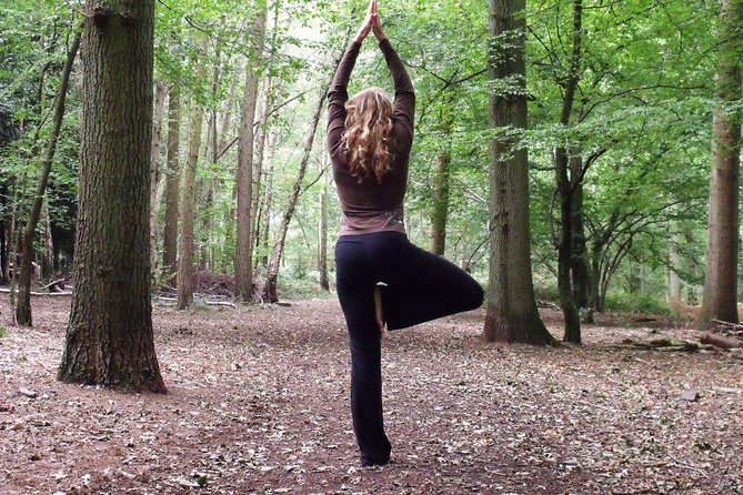 Etna Volcanic Yoga and Meditation - Private Experience - The Value of a Private Experience