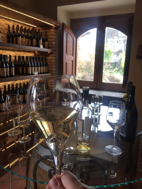Etna Winery Wine & Food Tasting Private Tour - Visiting the Winery: An Intimate Look at Etna’s Wine Production