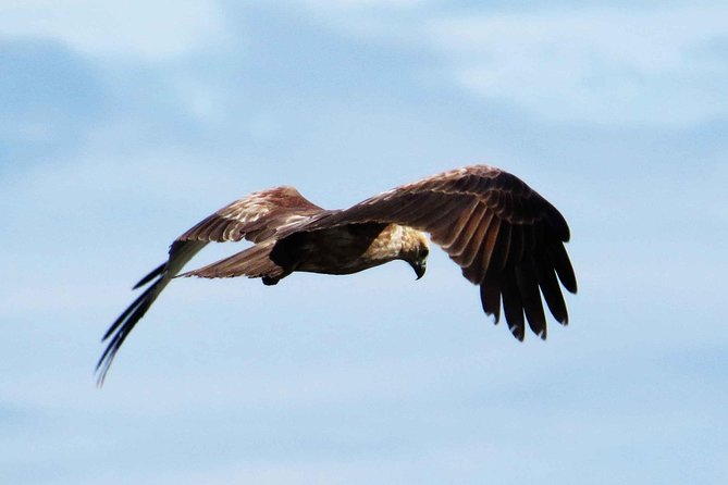 Exclusive : Muthurajawela Bird Watching Tour - Why This Tour Offers Great Value
