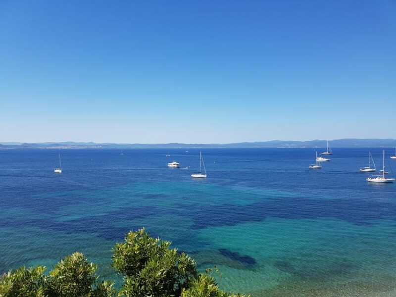 Excursion to Porquerolles Island from Bandol - Practical Tips for Travelers