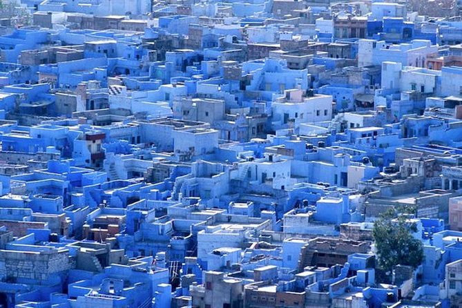 Explore Jodhpur City With Three Wheeler Tuk Tuk - Authenticity and Traveler Perspectives