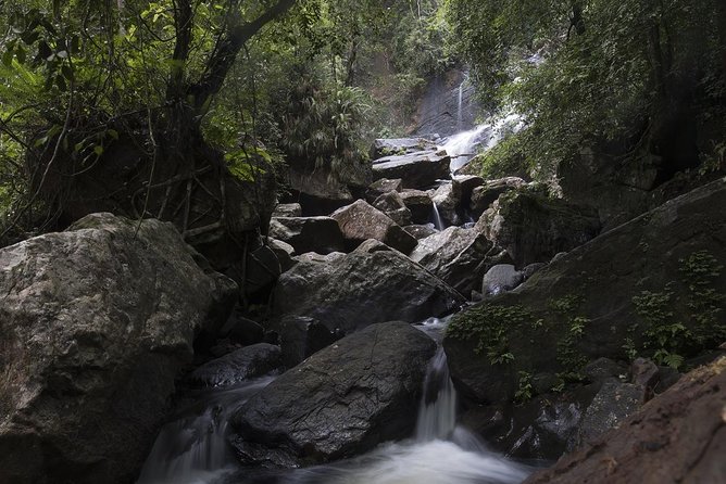 'Explore Sinharaja' rainforest - Discovery Tour (half day) - A Deep Dive into the Sinharaja Rainforest Discovery Tour