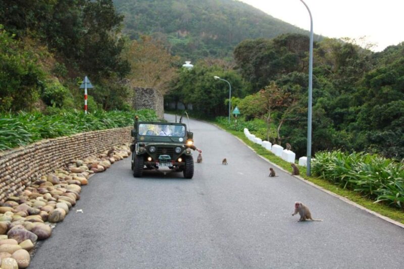 Explore Son Tra Peninsula by US Army Jeep - The Experience: What Travelers Are Saying