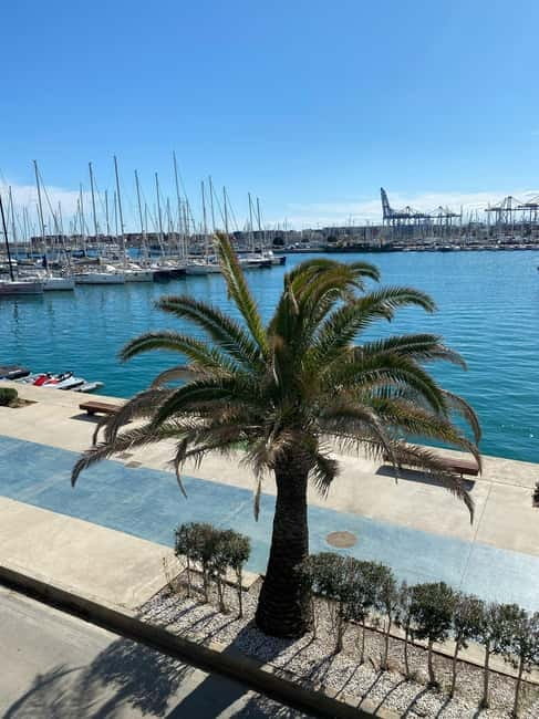 Explore Valencias Coast: Boat trip to Valencian Venice - The Highlights: What Makes This Tour Stand Out?